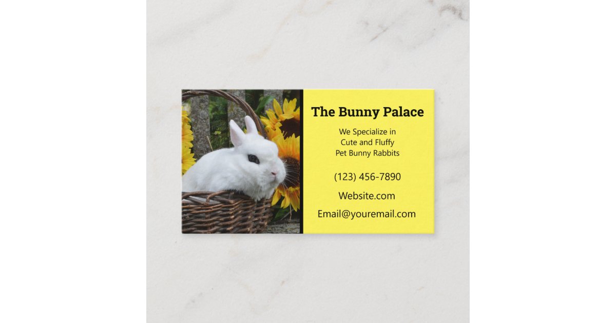 Dwarf Hotot Bunny Rabbit Breeder Business Card | Zazzle