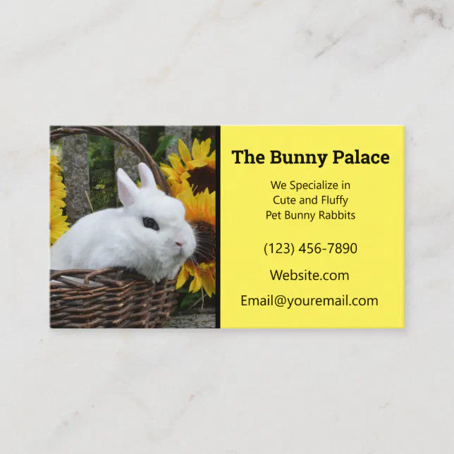 Dwarf Hotot Bunny Rabbit Breeder Business Card | Zazzle