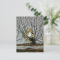 Dwarf with a Lantern Postcard | Zazzle