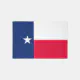 Dynamic Texas State Flag Graphic on a Rug | Zazzle