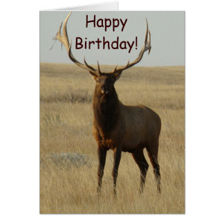 Elk Birthday Cards - Greeting & Photo Cards | Zazzle