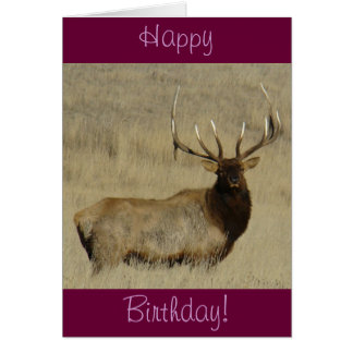 Elk Birthday Cards - Greeting & Photo Cards | Zazzle