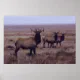 E19 Bull Elk Double Drop Tines Poster | Zazzle