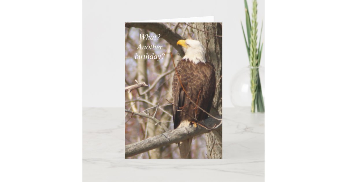 Eagle Birthday card | Zazzle