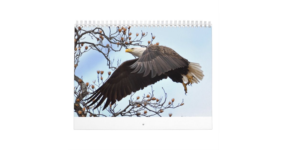 Eagle Calendar | Zazzle