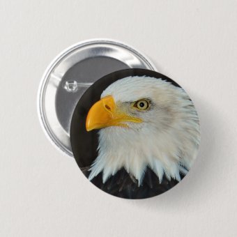 Eagle Head Button | Zazzle