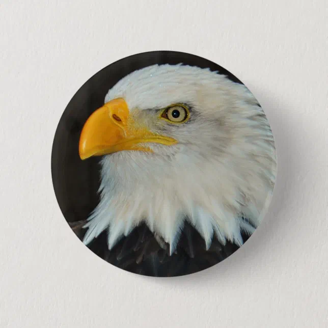 Eagle Head Button | Zazzle