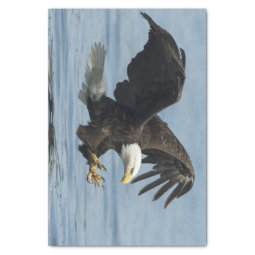 Eagle on Approach Tissue Paper | Zazzle