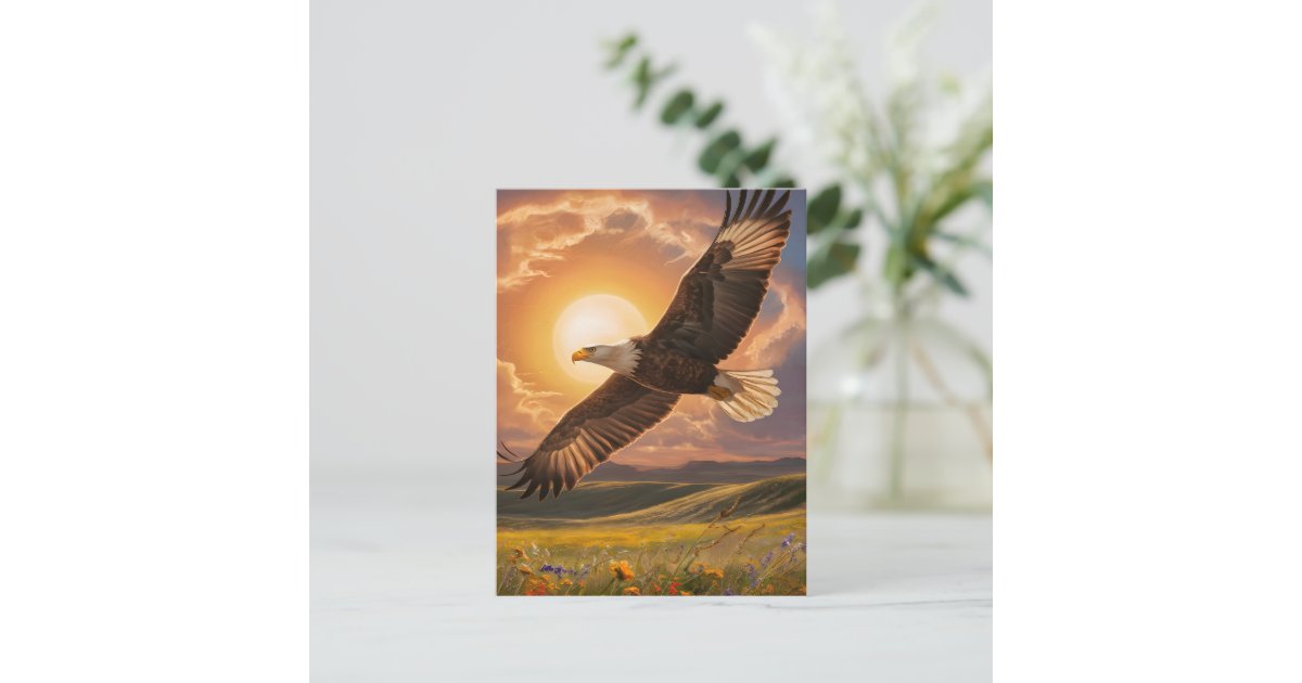 Eagle Soaring Sunset Postcard | Zazzle