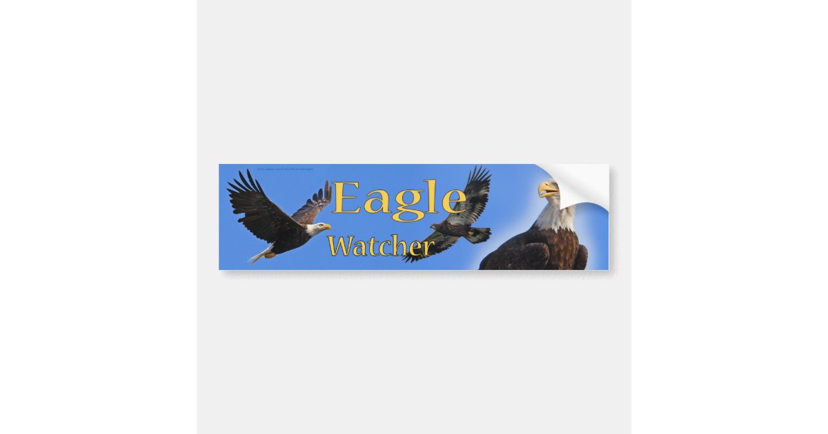 Eagle Watcher bumper sticker | Zazzle