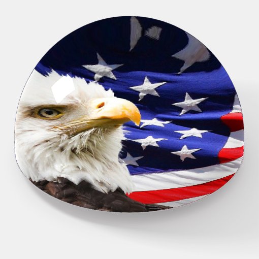Eagle With the American Flag Paperweight | Zazzle