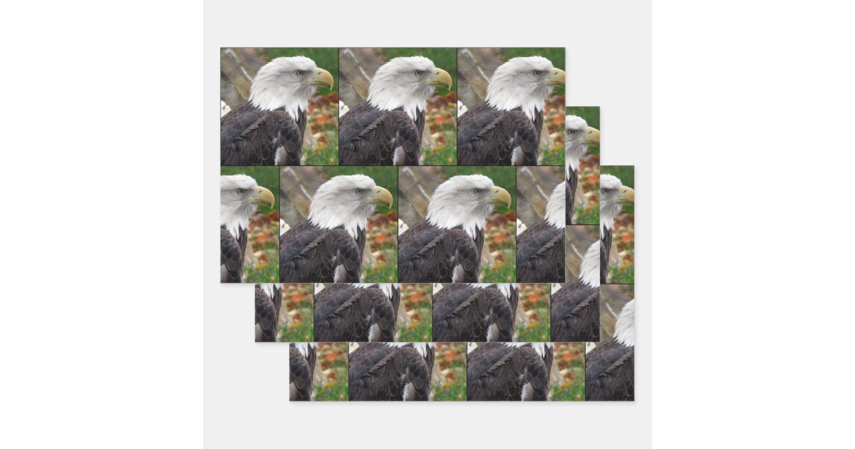 Eagle - Wrapping Paper Sheets | Zazzle