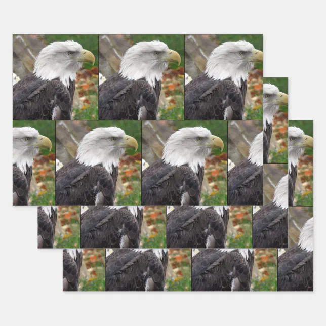 Eagle - Wrapping Paper Sheets | Zazzle