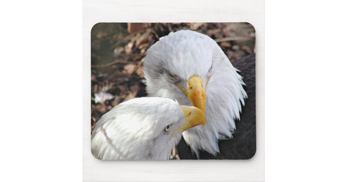 eagles mouse pad | Zazzle