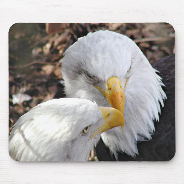eagles mouse pad | Zazzle