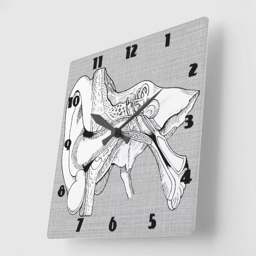 EAR ANATOMY VINTAGE CLOCK | Zazzle