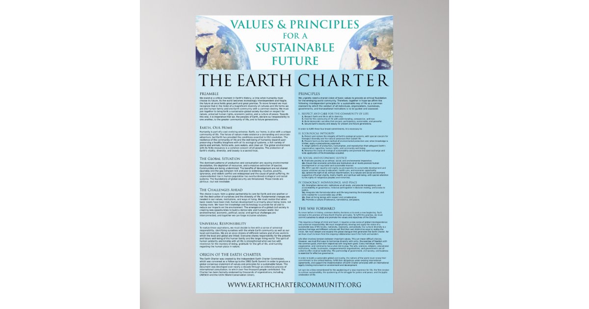 Earth Charter Poster - 22x31 Semi-Gloss | Zazzle