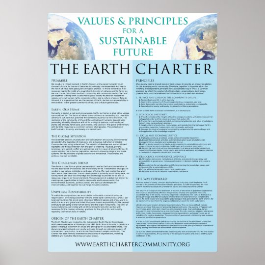 Earth Charter Poster - 22x31 Semi-Gloss | Zazzle.com
