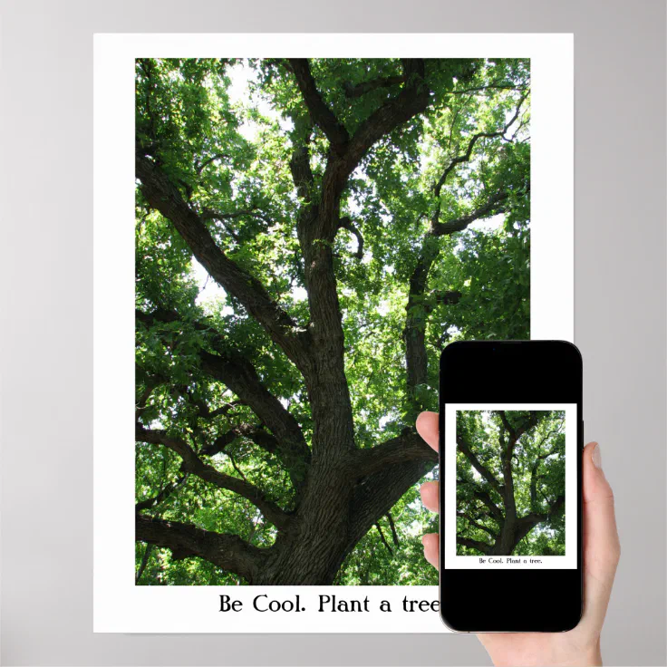 Earth Day Plant-A-Tree Poster | Zazzle