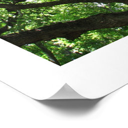 Earth Day Plant-A-Tree Poster | Zazzle