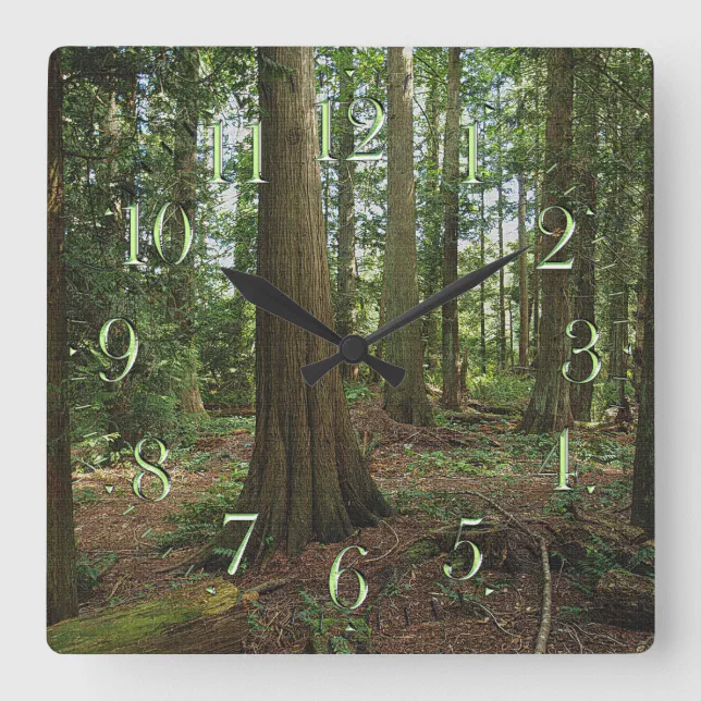 Earth Day Scenic Forest Nature-lovers Clock | Zazzle