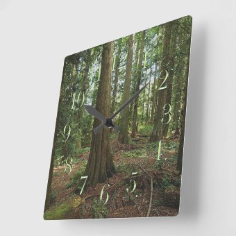 Earth Day Scenic Forest Nature-lovers Clock | Zazzle