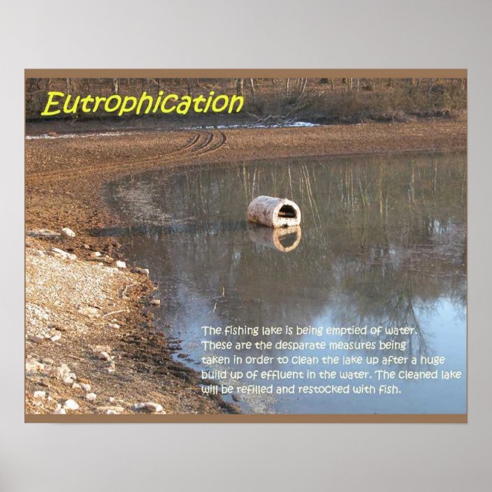 Earth science, Environment, Eutrophication Poster | Zazzle.com