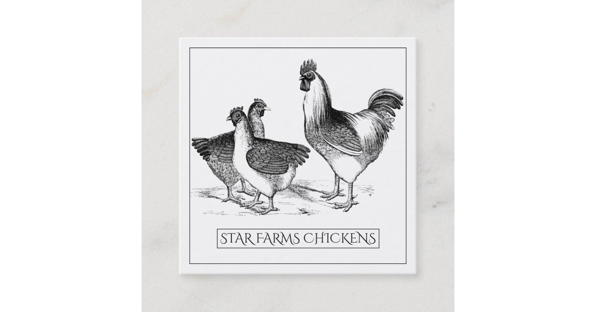 Earthy Rustic Chicken Poultry Farm Square Business Card | Zazzle