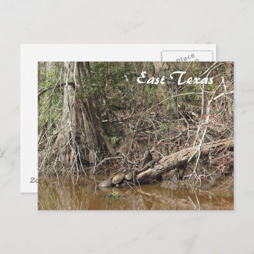 East Texas Postcard | Zazzle