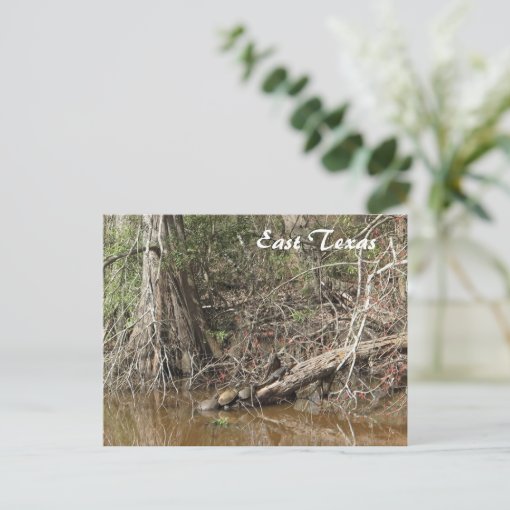 East Texas Postcard | Zazzle