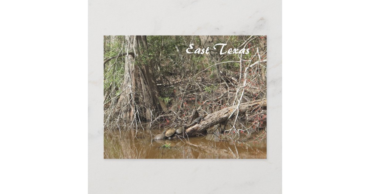 East Texas Postcard | Zazzle