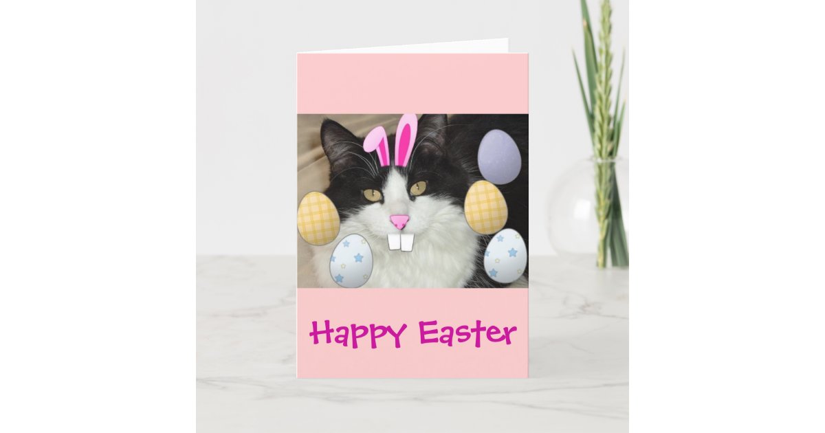 Easter Black & White Cat Holiday Card | Zazzle