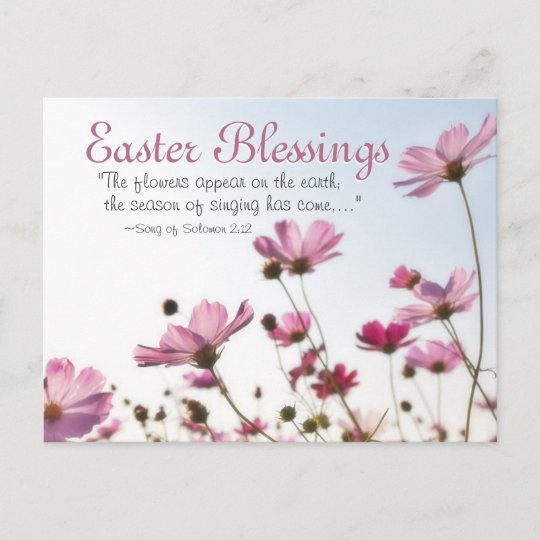 Easter Blessings Bible Verse "The flowers appear" Holiday Postcard ...