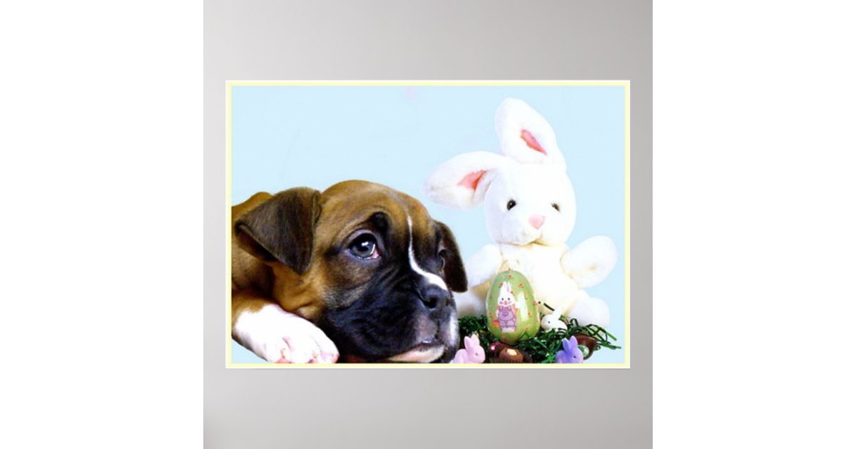 Easter boxer puppy poster | Zazzle
