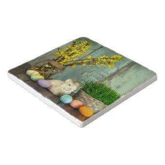 Easter Bunny and Egg Scene Trivet | Zazzle