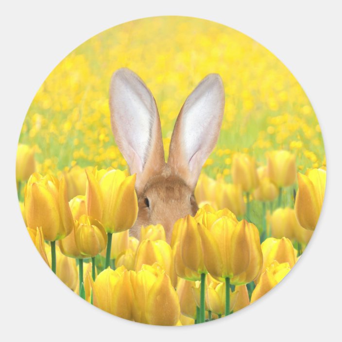 Easter Bunny Classic Round Sticker | Zazzle.com