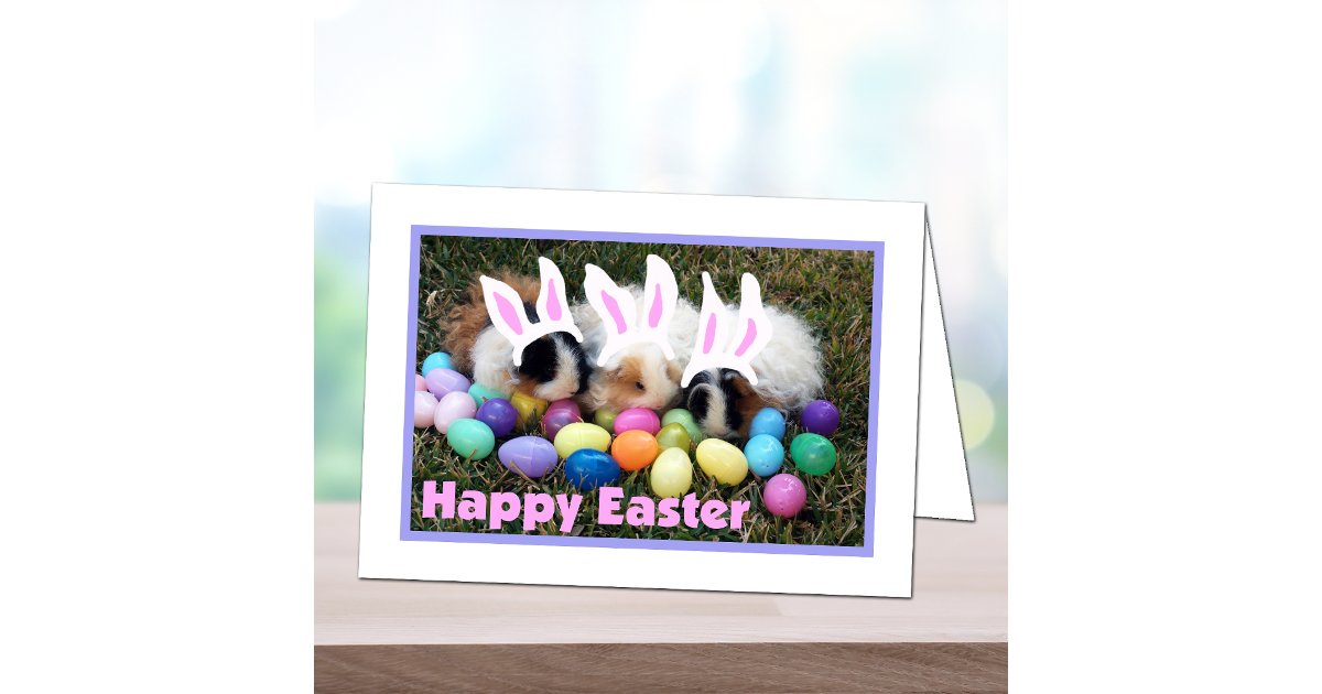 Easter Bunny Guinea Pig Card | Zazzle