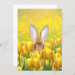 Easter bunny in tulips holiday card | Zazzle