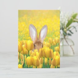 Easter bunny in tulips holiday card | Zazzle