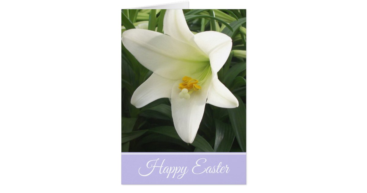 Easter Card Easter Lily | Zazzle