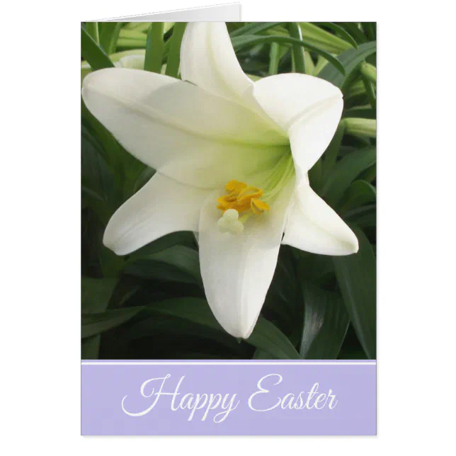 Easter Card Easter Lily | Zazzle