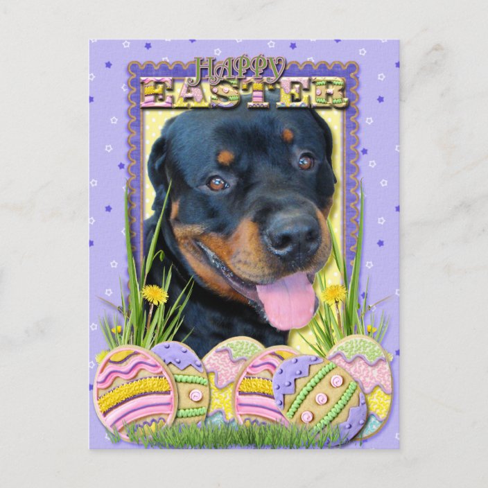 Easter Egg Cookies - Rottweiler - Harley Holiday Postcard | Zazzle.com