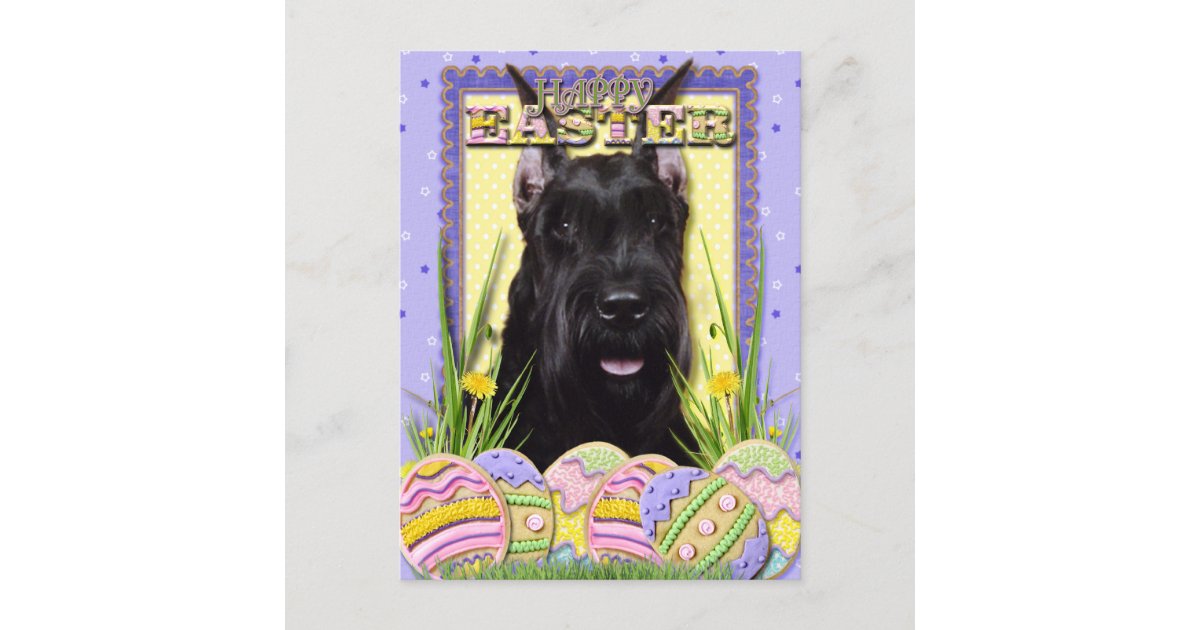 Easter Egg Cookies - Schnauzer Holiday Postcard | Zazzle