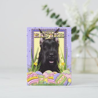 Easter Egg Cookies - Schnauzer Holiday Postcard | Zazzle