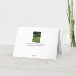 Easter Gospel Message Holiday Card | Zazzle