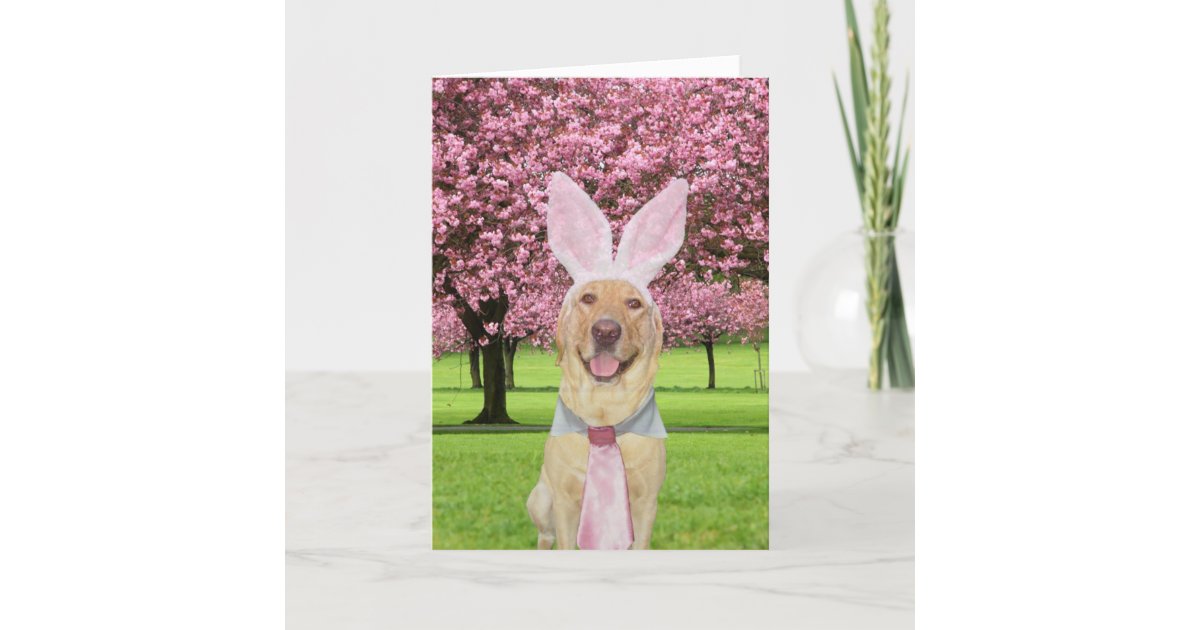 Easter Lab Holiday Card | Zazzle