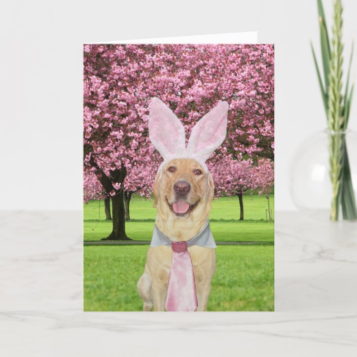 Easter Lab Holiday Card | Zazzle.com