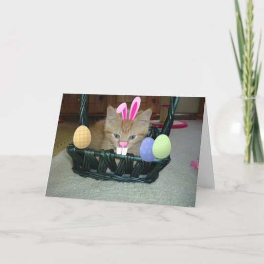 Easter Orange Tabby Kitty Cat Holiday Card | Zazzle.com