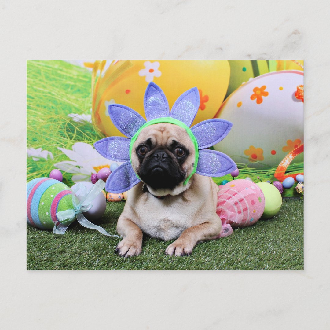 Easter - Pug - Louie Holiday Postcard | Zazzle