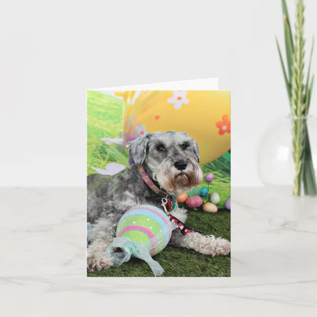 Easter - Schnauzer - Fergie Holiday Card | Zazzle